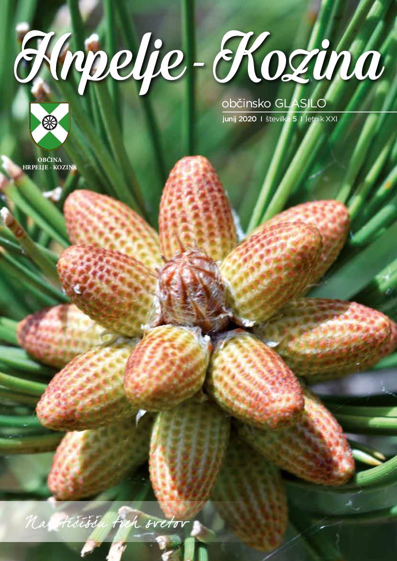 Občinsko glasilo Hrpelje - Kozina, Junij 2020 - hrpelje-kozina.si